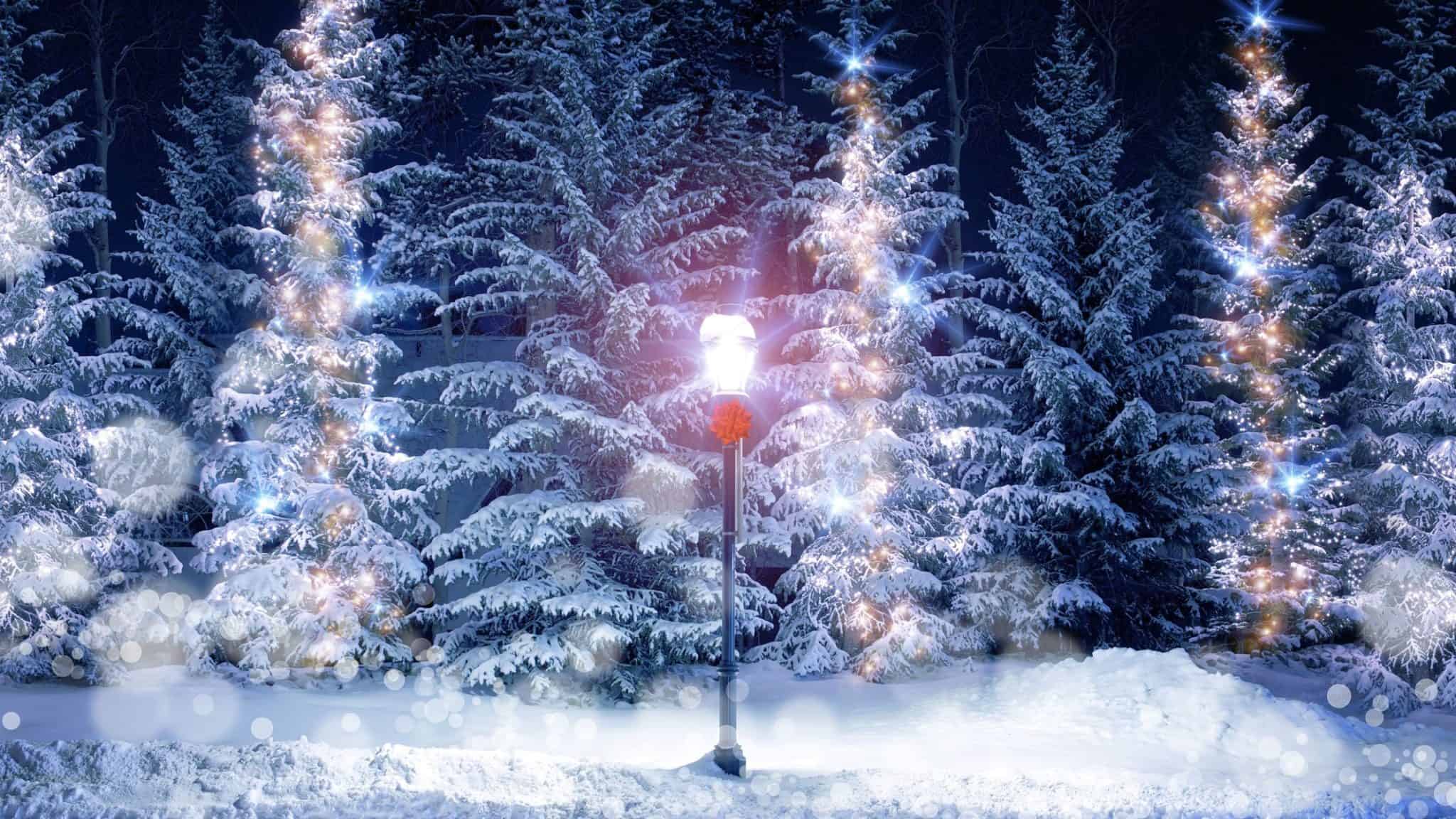 Best Christmas Murder Mysteries: 13 Cozy, Clever Picks