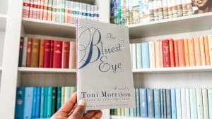 Toni Morrison The Bluest Eye: Themes, Characters & Discussion Questions