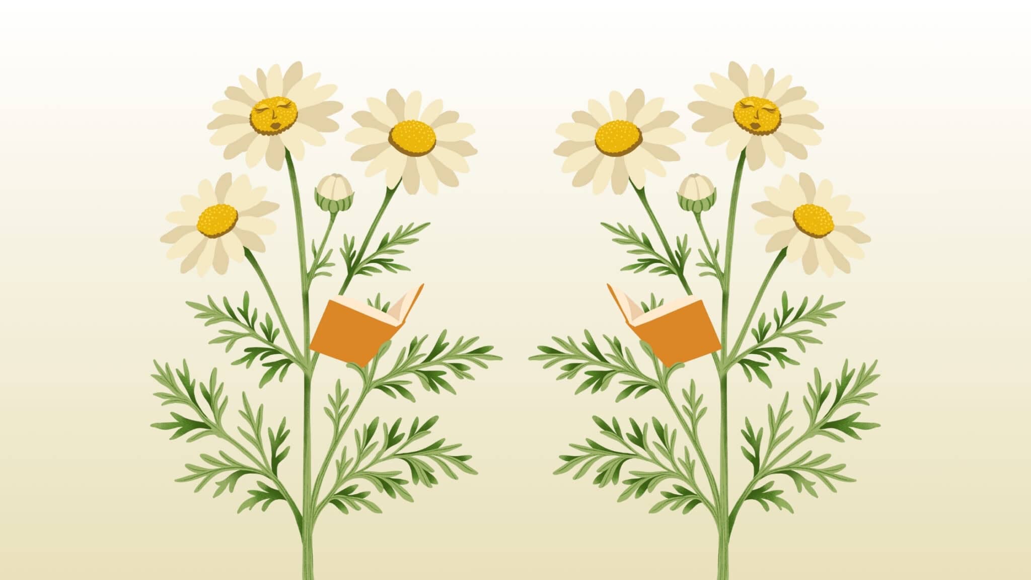 2026 Spring Reading Guide: Best New Cozy Mystery Books to Read This Spring